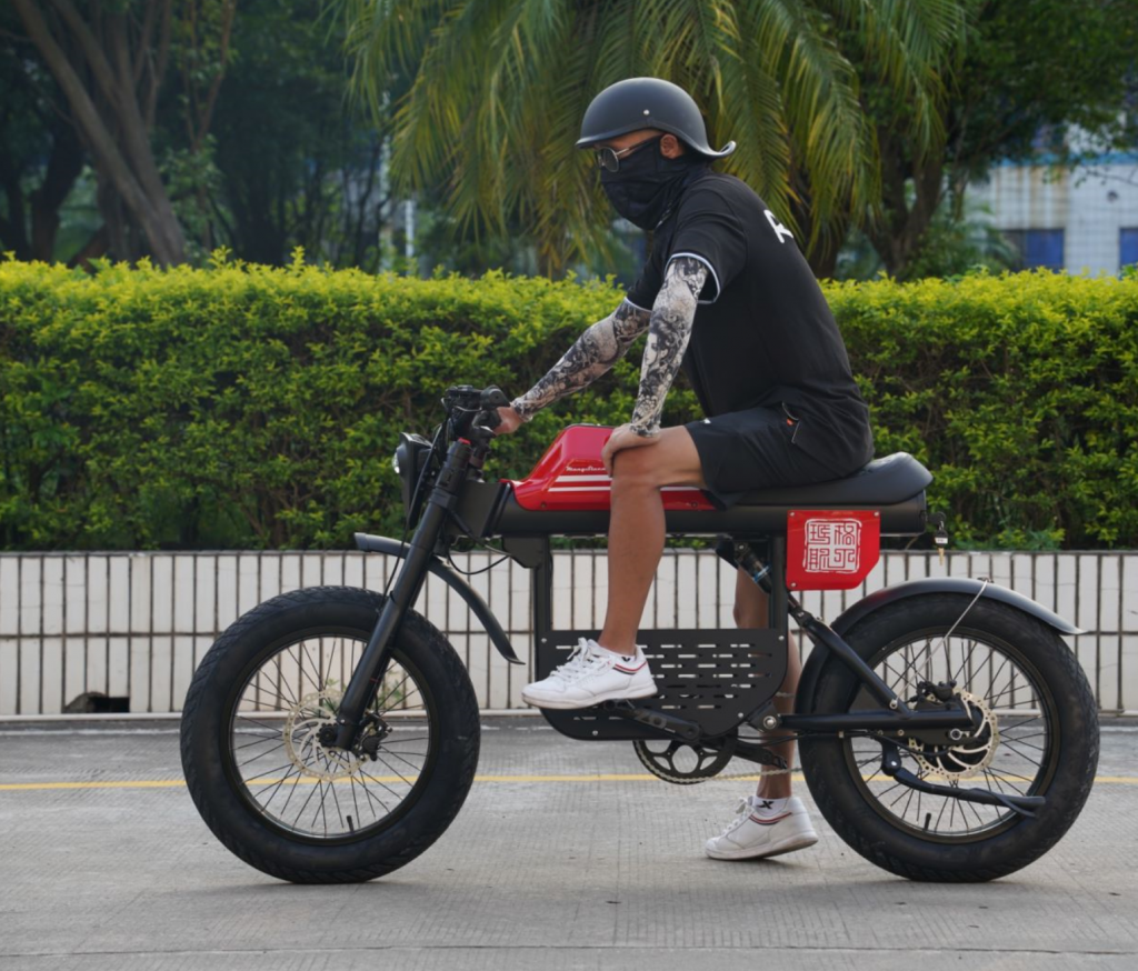 Mangosteen E Bike E Chopper - Mangosteen