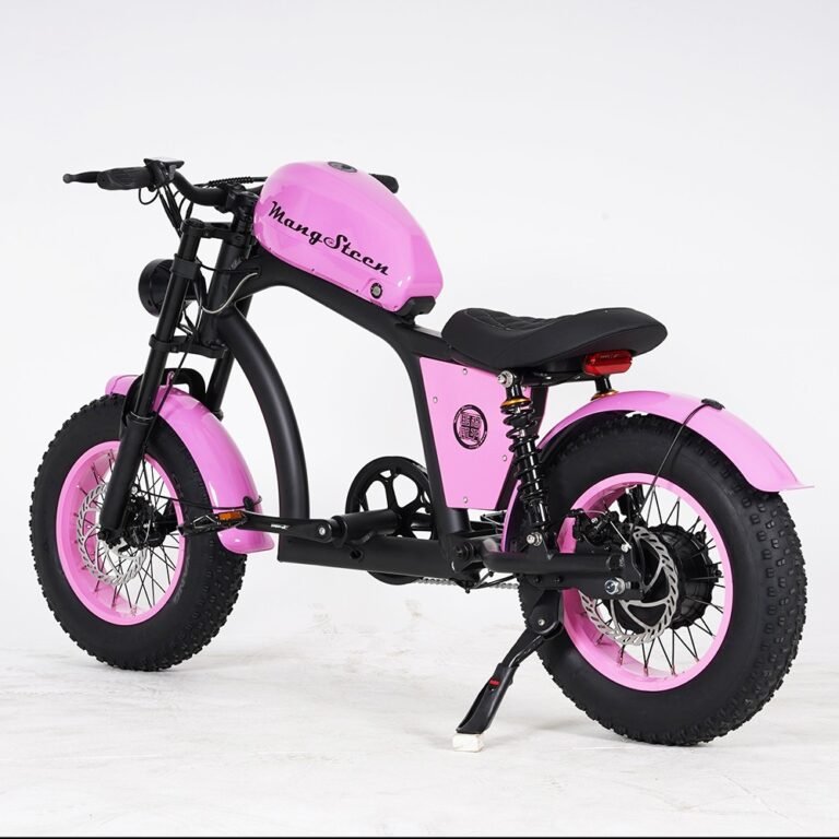 FT02 Mini Lass Bicycle - Mangosteen