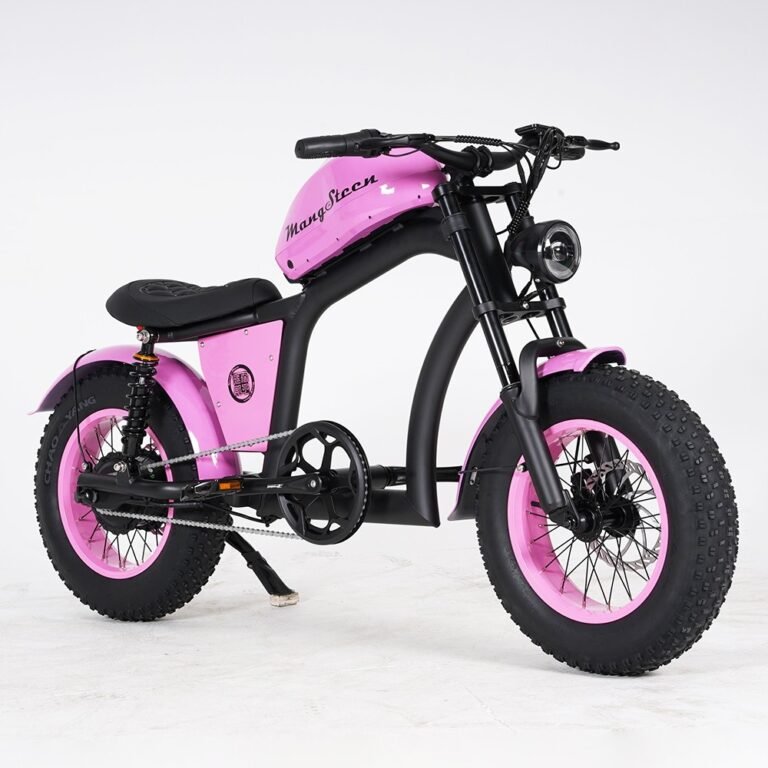 FT02 Mini Lass Bicycle - Mangosteen
